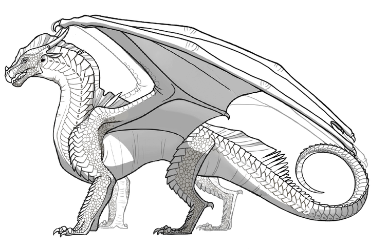 Does anybody have a Joy Ang NightWing/SandWing hybrid base? | Fandom