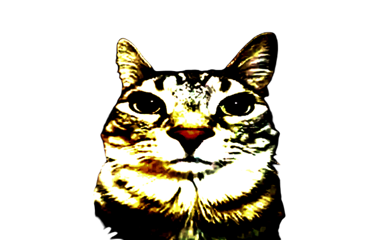 Every cat nextbot ever | Fandom