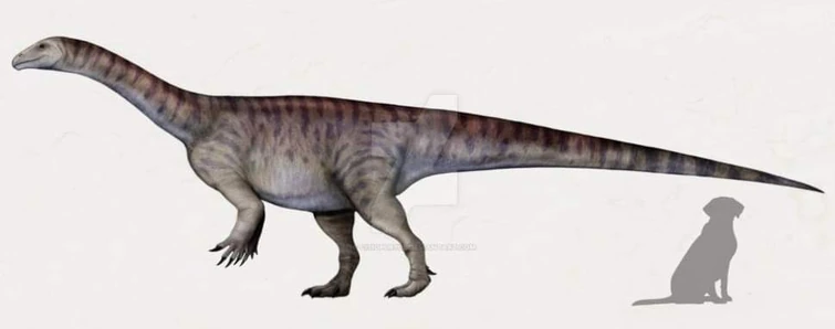 Discuss Everything About Dinopedia | Fandom