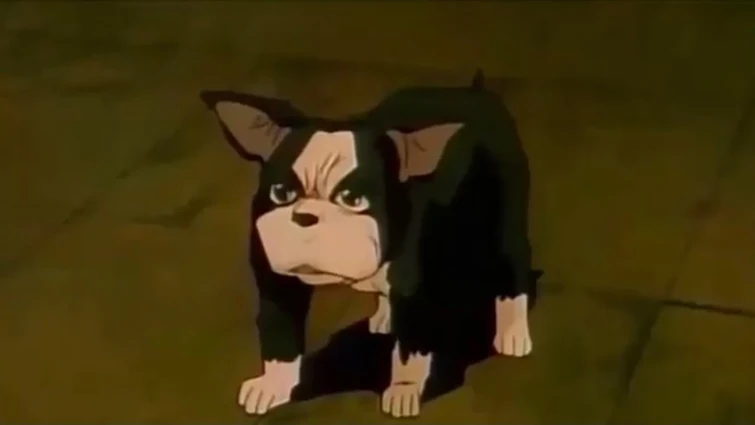 Shitpost. (Also, rip OVA Iggy) | Fandom