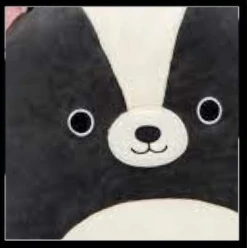 My Dream Pet | Fandom