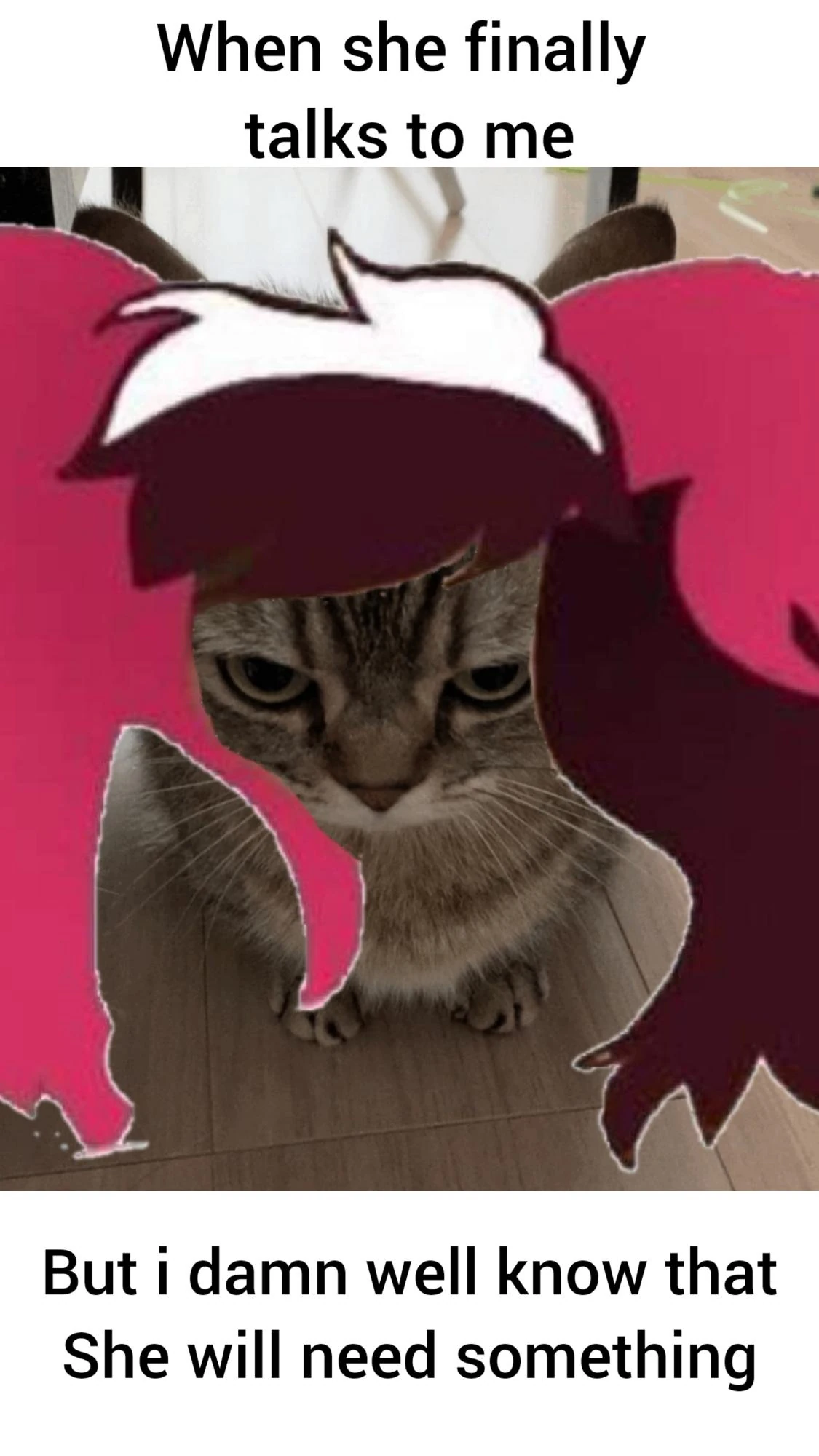 Personal meme | Fandom