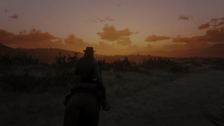 Can’t go wrong with a rdr2 sunset | Fandom