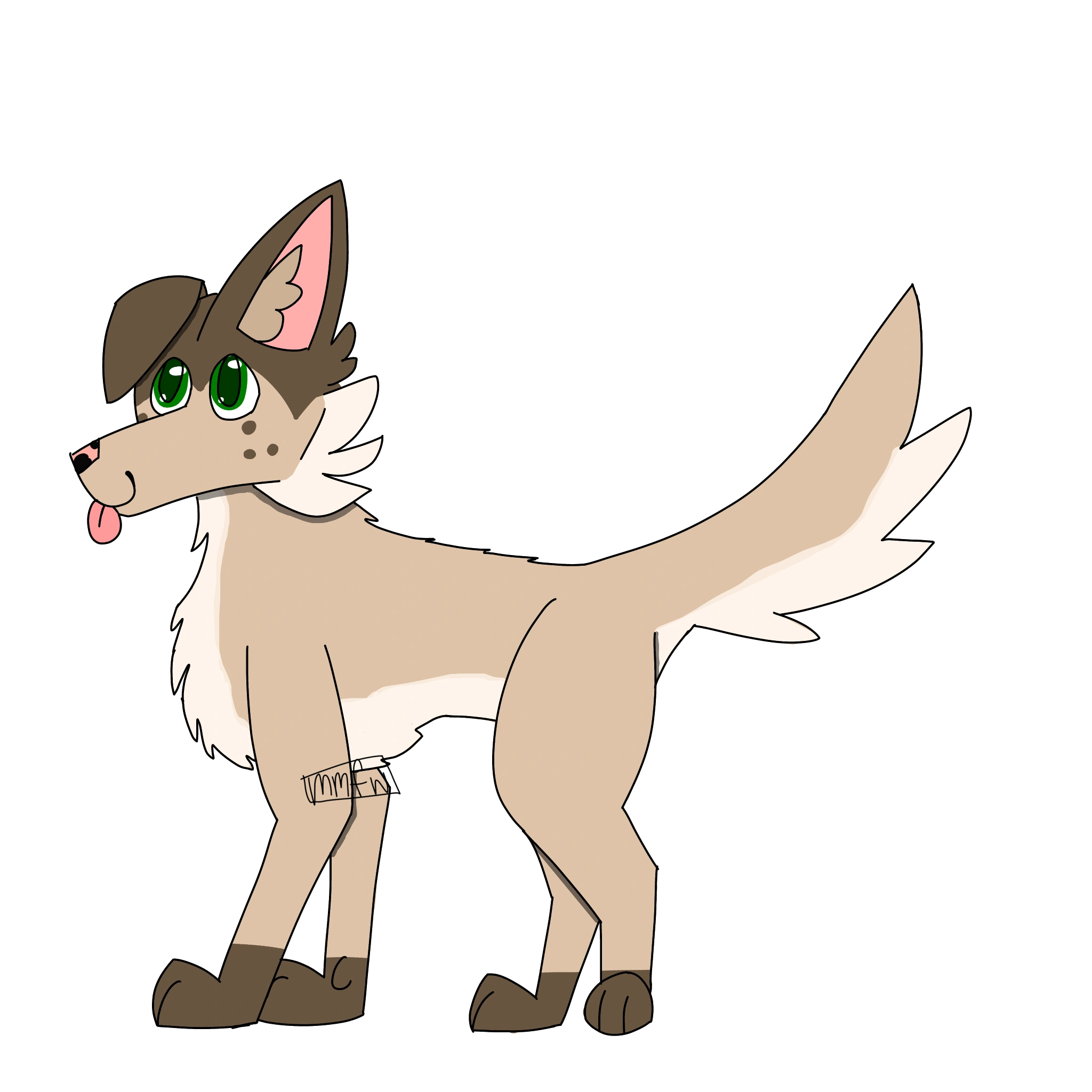 lps butter collie aggie results! | Fandom