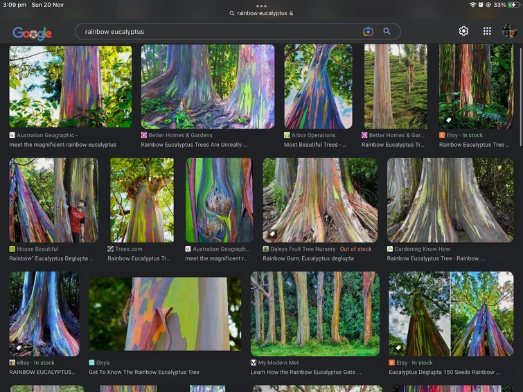 i’m not sure if i like it (Ygg Skin) | Fandom