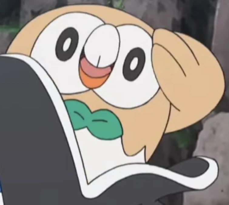 Caption this | Fandom