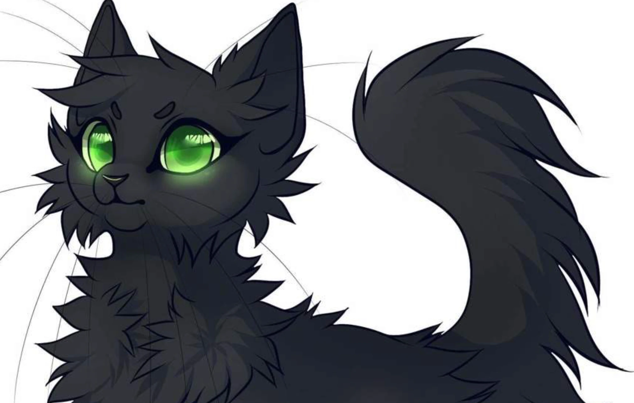Hollyleaf is the best warrior cats character | Fandom