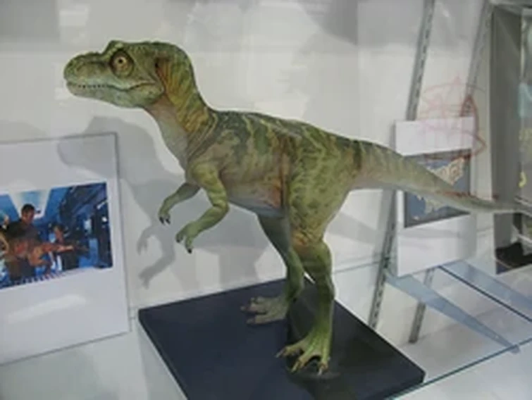 Bull and Junior theory | Fandom