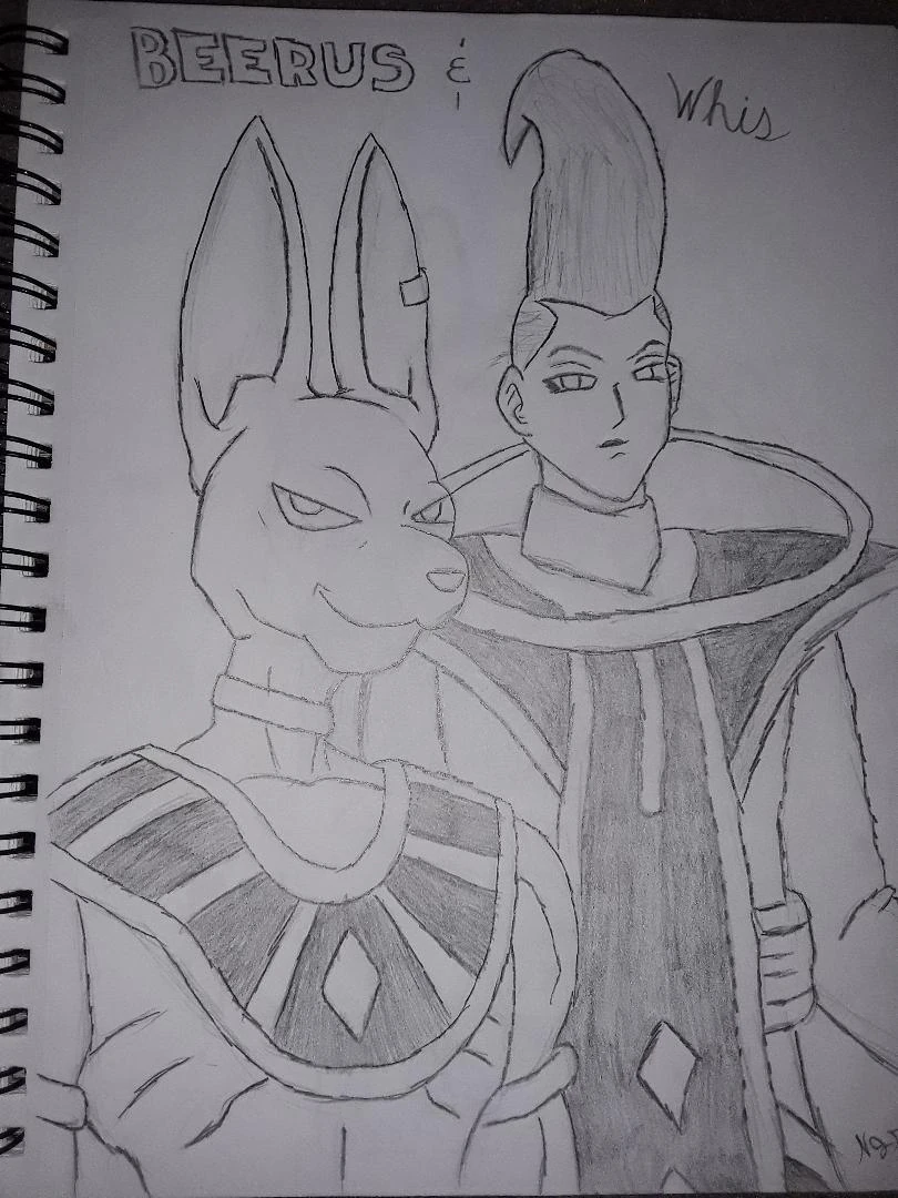 Check out my drawing of Beerus and Whis! | Fandom