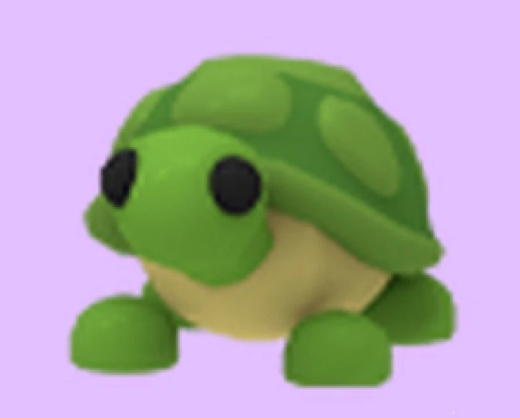 Pet shoutout #5 | Fandom