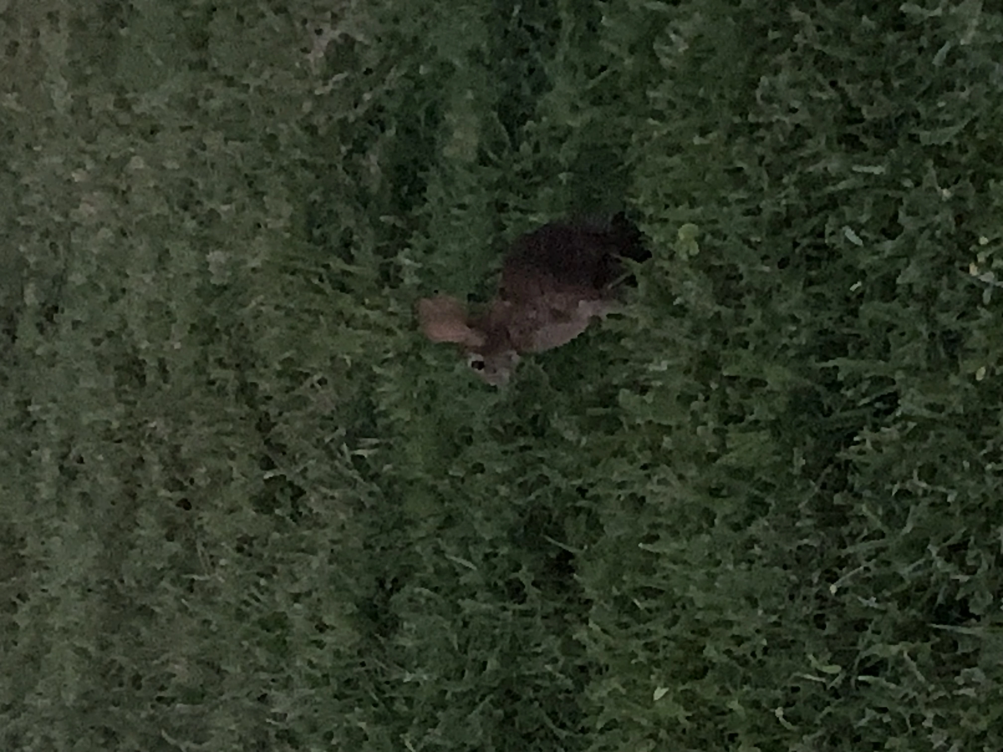 3 day retro ban | Fandom