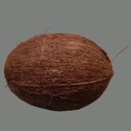 tf2 coconut that keeps the entire game's source code together | Fandom