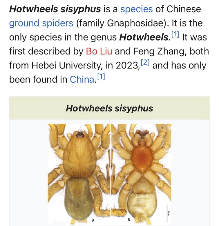 new peak bug just dropped | Fandom