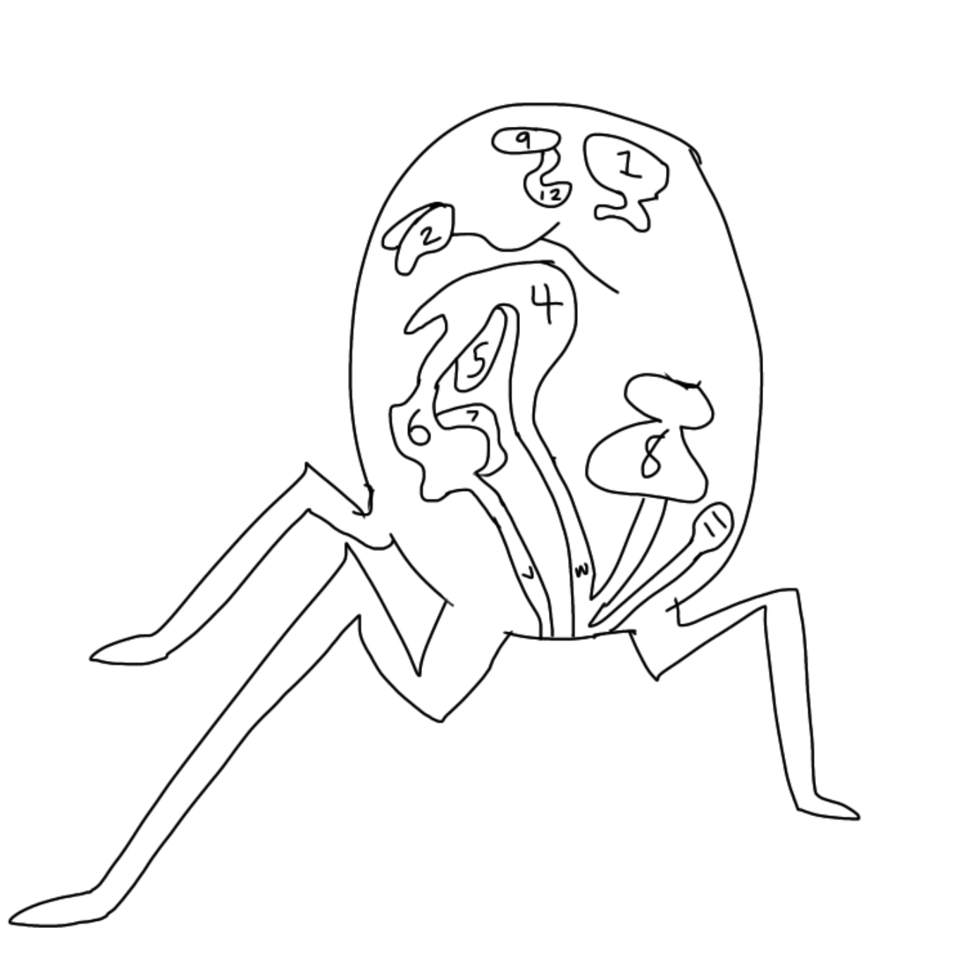 Organic anatomy of Entity 142 | Fandom