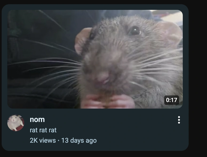 i love my youtube homepage | Fandom