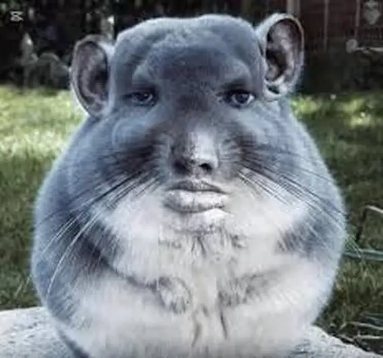 Pick the one on the corner if your smart | Fandom