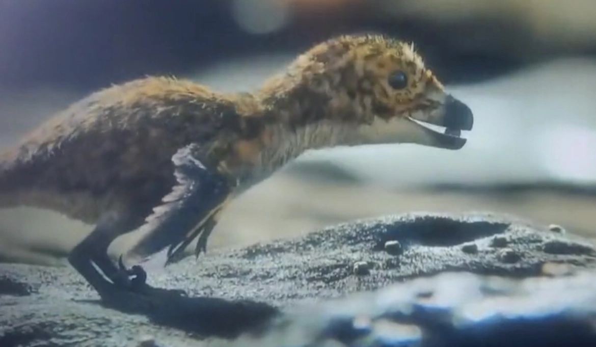 Pyroraptor in PHPs2! | Fandom