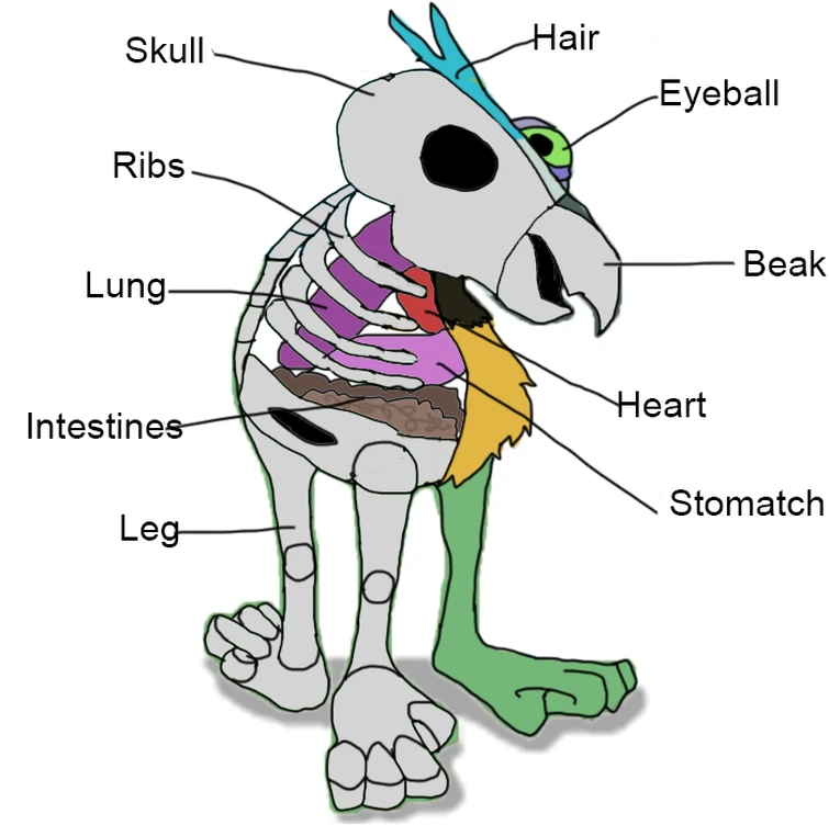 Monster Anatomy (5) | Fandom