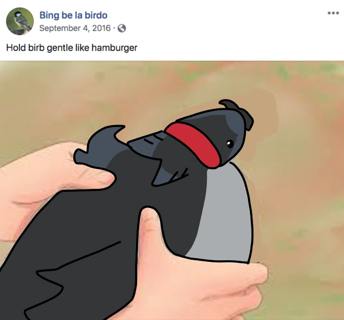 kaleidoscope the tribred (sea/rain/night), colored! (BRIGHT COLOR ...