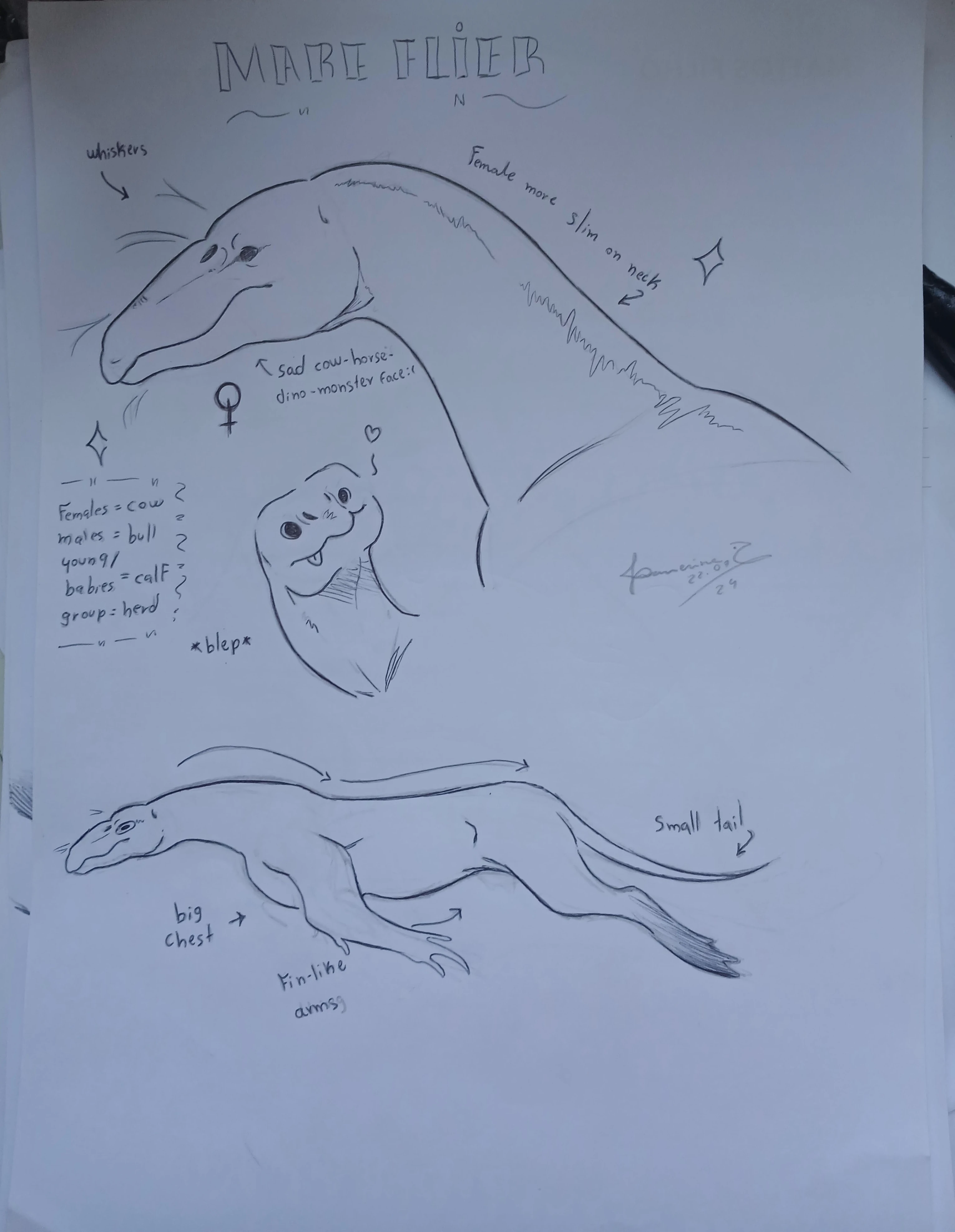 Fan creature concept thing: Marefliers | Fandom