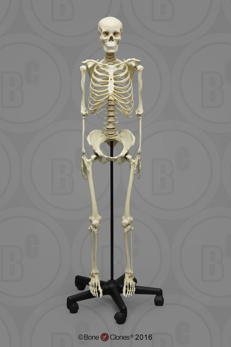 What’s the best prsk ship and why? | Fandom