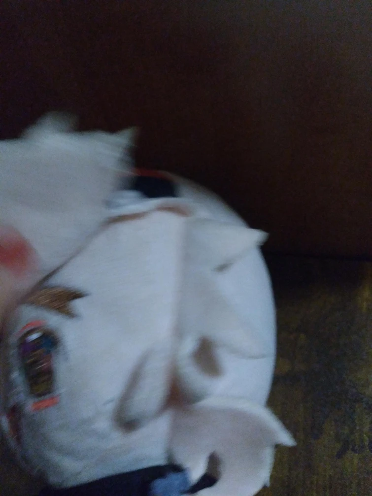 My dog got the douma plush | Fandom