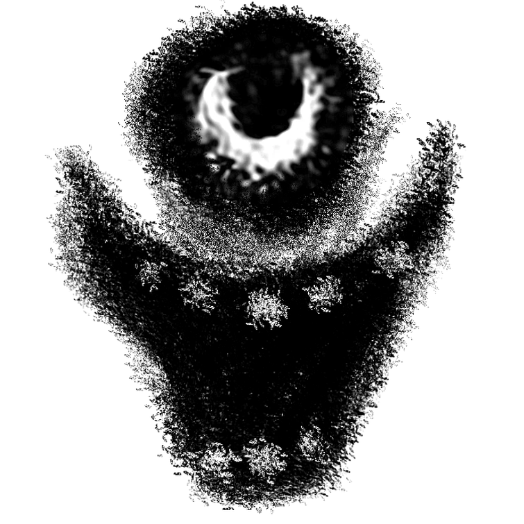 I think they gave me the wrong order | Fandom