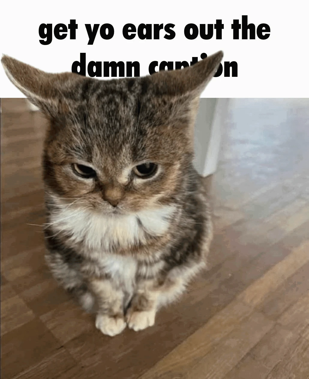 not having a good morning but good morning fellas how’s it going | Fandom