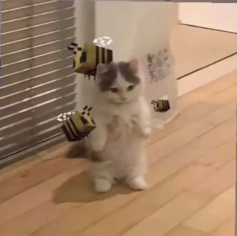 trading 9 butterflies…. | Fandom