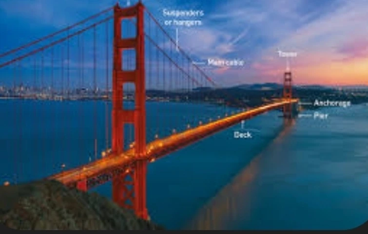 SPAM BRIDGE | Fandom