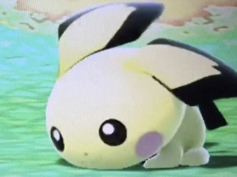 Day 1 of random photos | Fandom