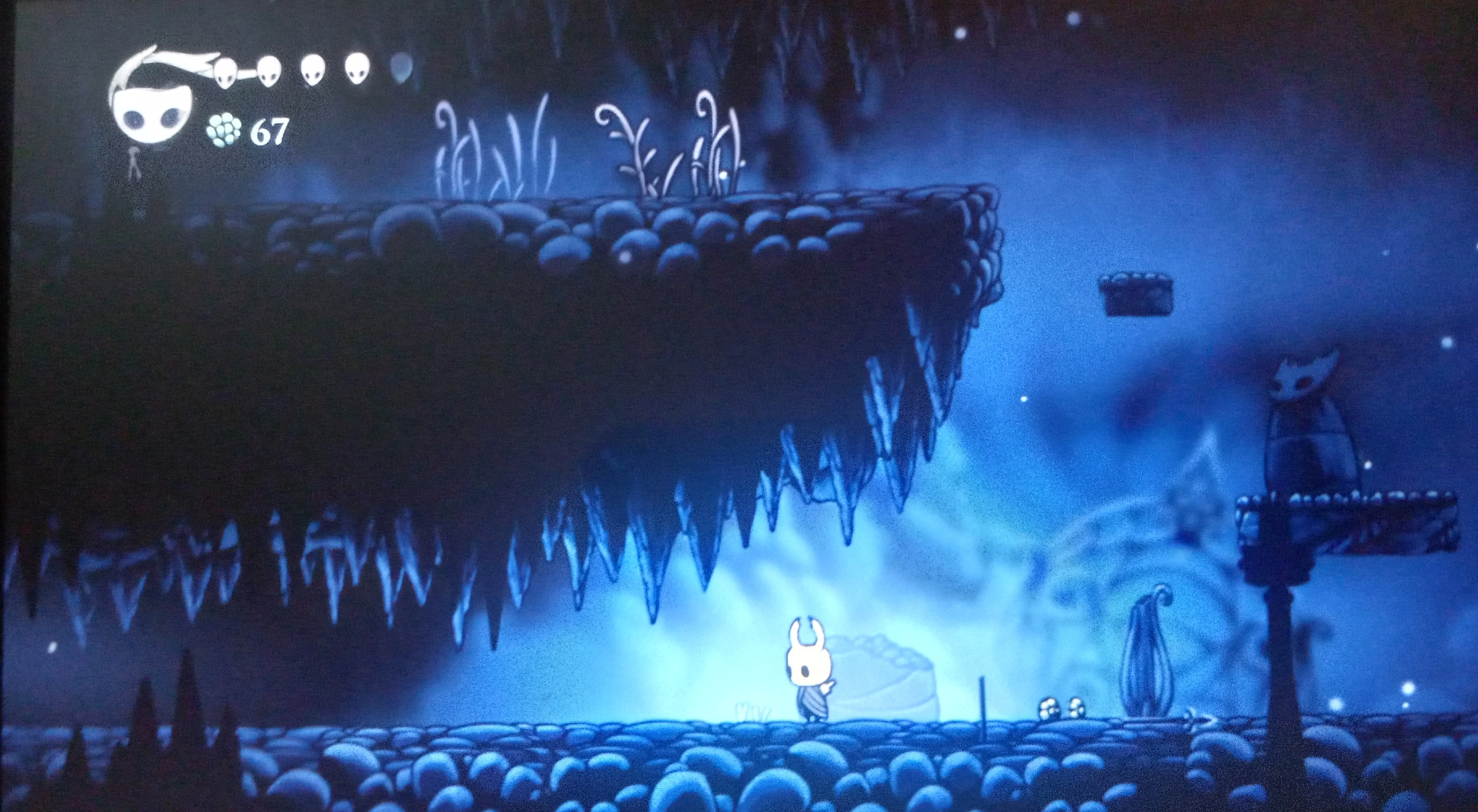 i got hollow knight for christmas :D | Fandom