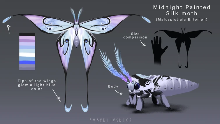 Why is everybody obsessing over moth ocs now? | Fandom