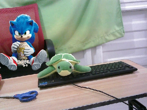 Got the turtle from the first sonic movie and sonic | Fandom