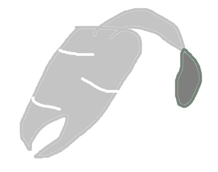 Discuss Everything About Pikpik people Wiki | Fandom