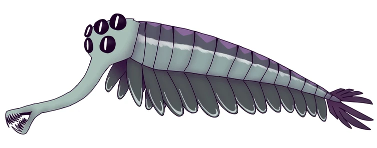 opabinia art | Fandom