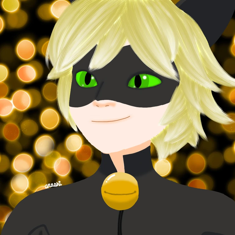 Semi-realistic Cat Noir and Rabbit Noir | Fandom
