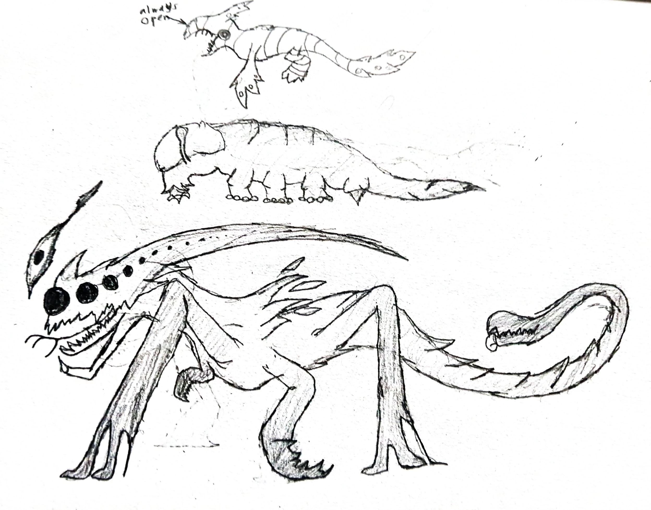 redesigned nimoona, minawii, hellion, ardor and kendyll | Fandom