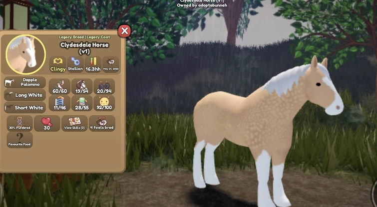 Discuss Everything About Wild Horse Islands Wiki | Fandom