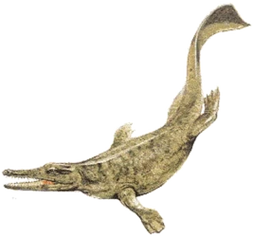 Discuss Everything About Dinopedia | Fandom