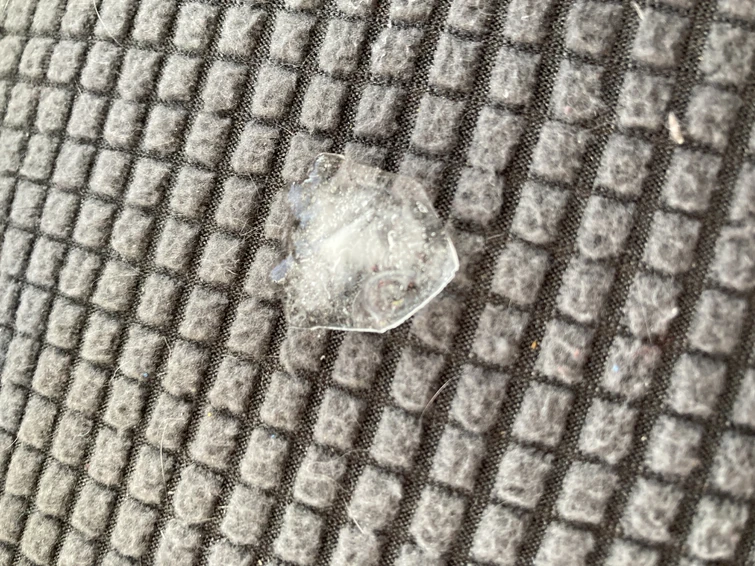 Look at the silly ice cube shape | Fandom