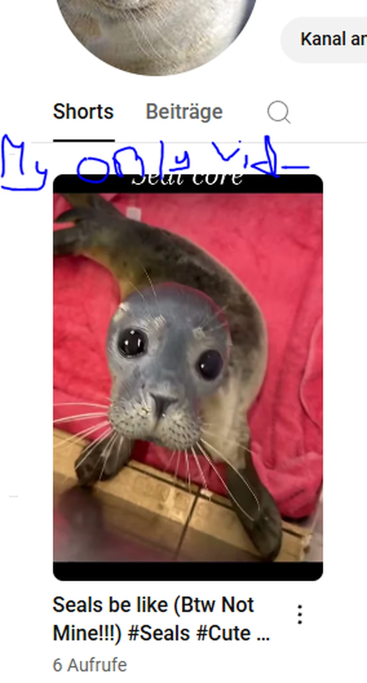 Proof that i like seals | Fandom