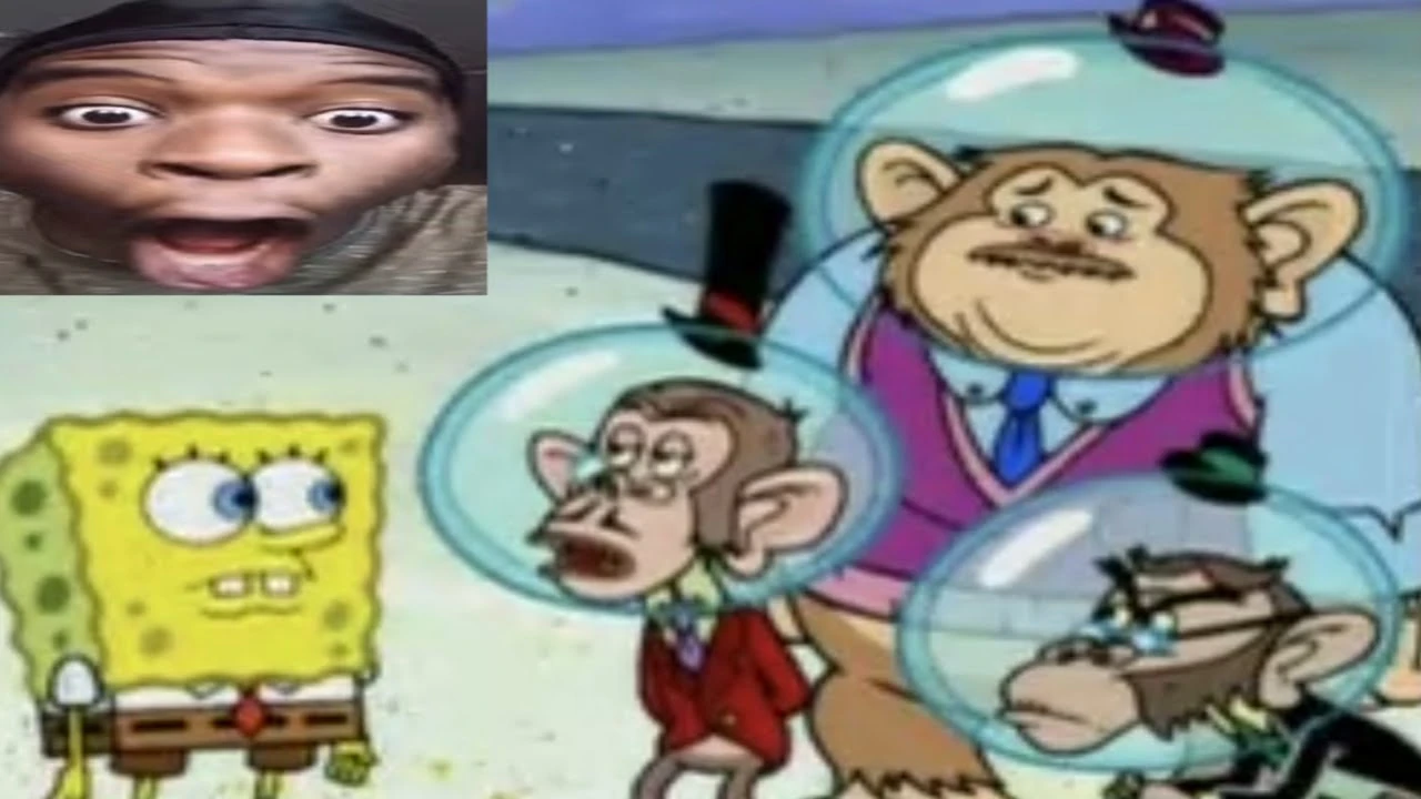 NOO NOT NFT’S IN SPONGEBOB | Fandom
