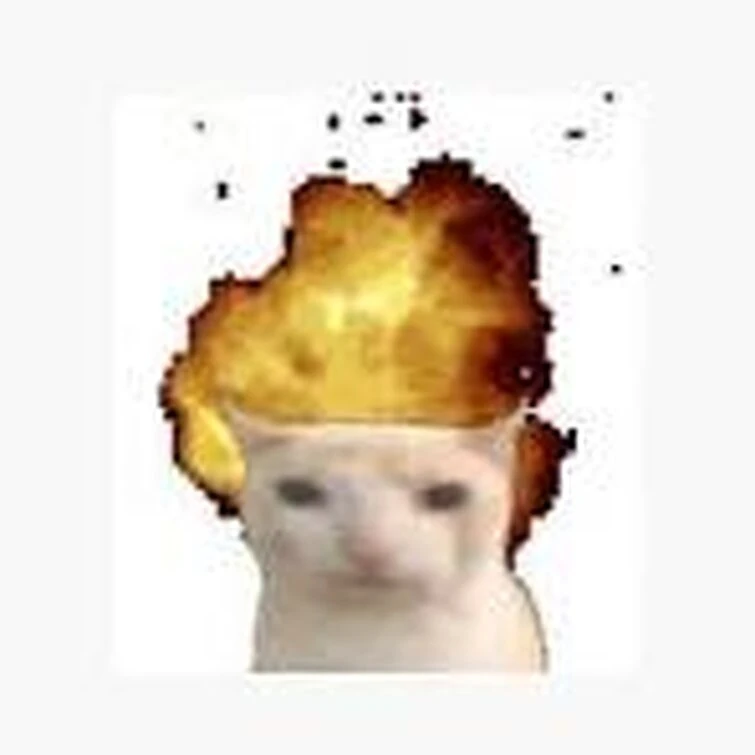 Hello erm yes I’m new | Fandom