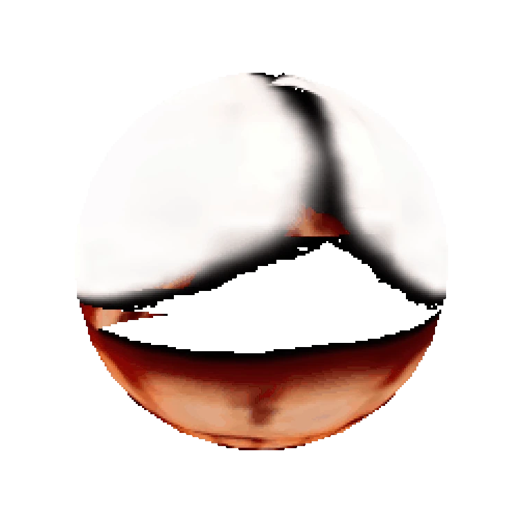 Nilly Planet | Fandom