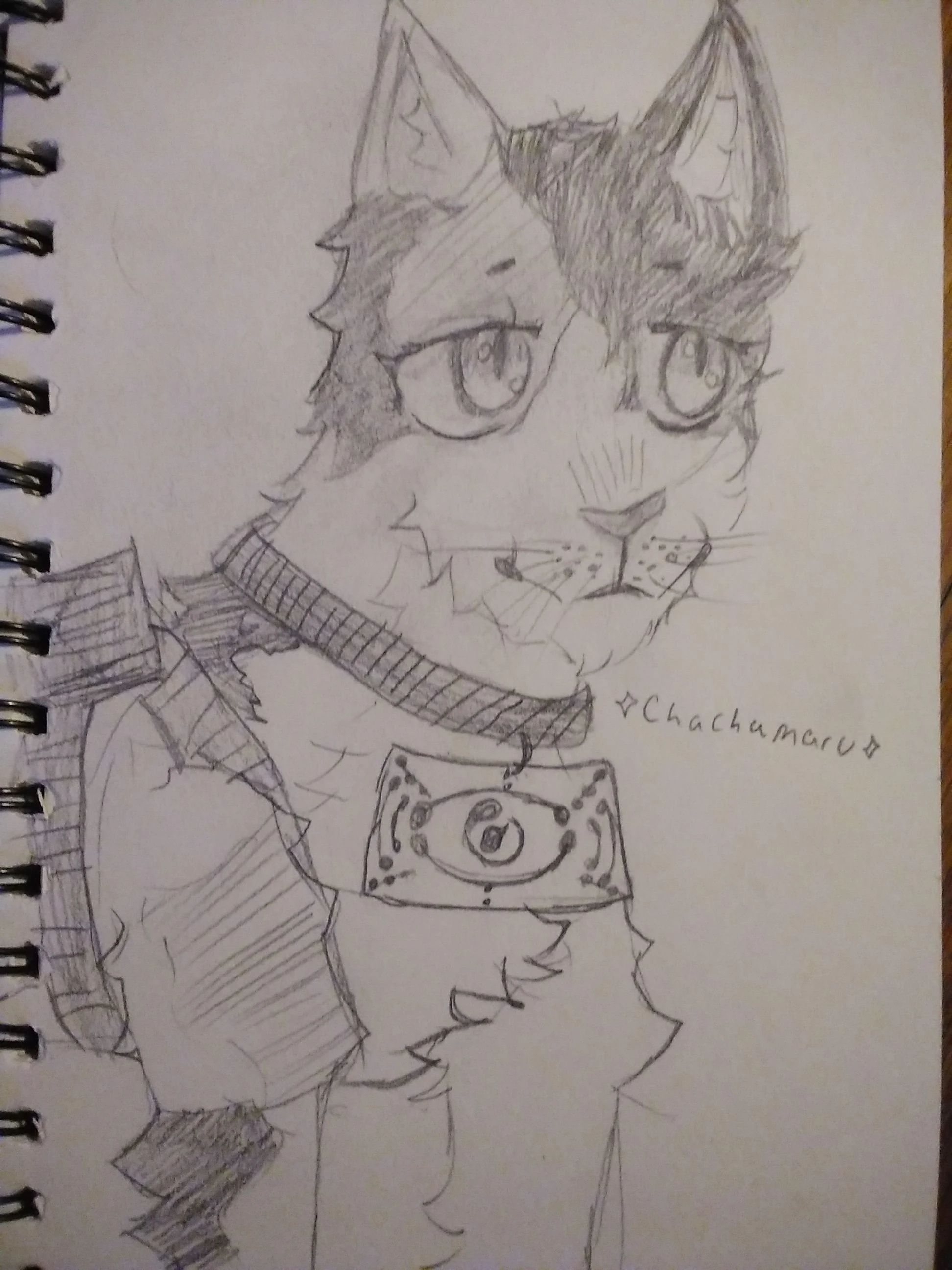 CHACHAMARU! 😺 | Fandom