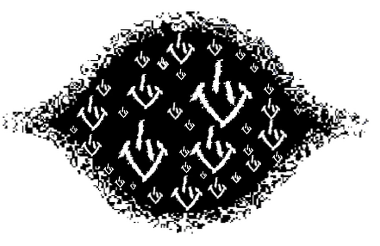 Discuss Everything About Grace Wiki | Fandom