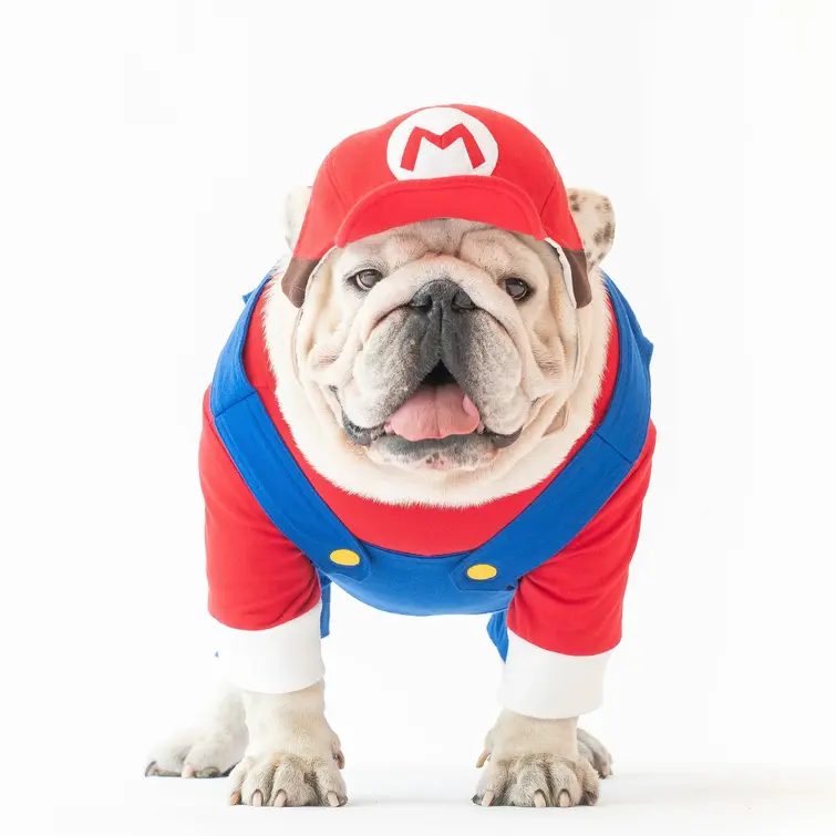 Discuss Everything About Dog Man Wiki | Fandom