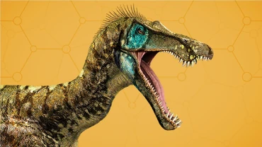 Dinosaur fight clubs episode 1 | Fandom