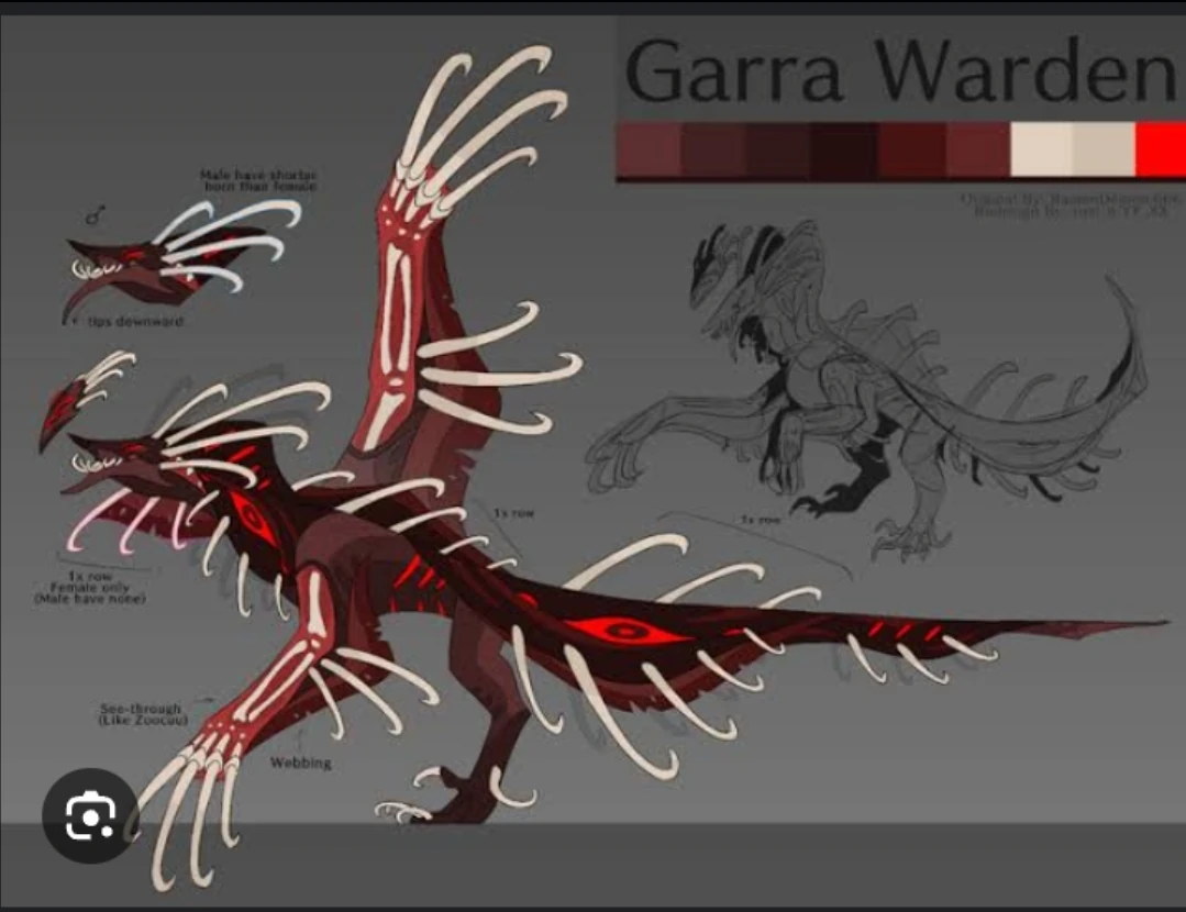 Guys, is this an old Garra Concept? | Fandom